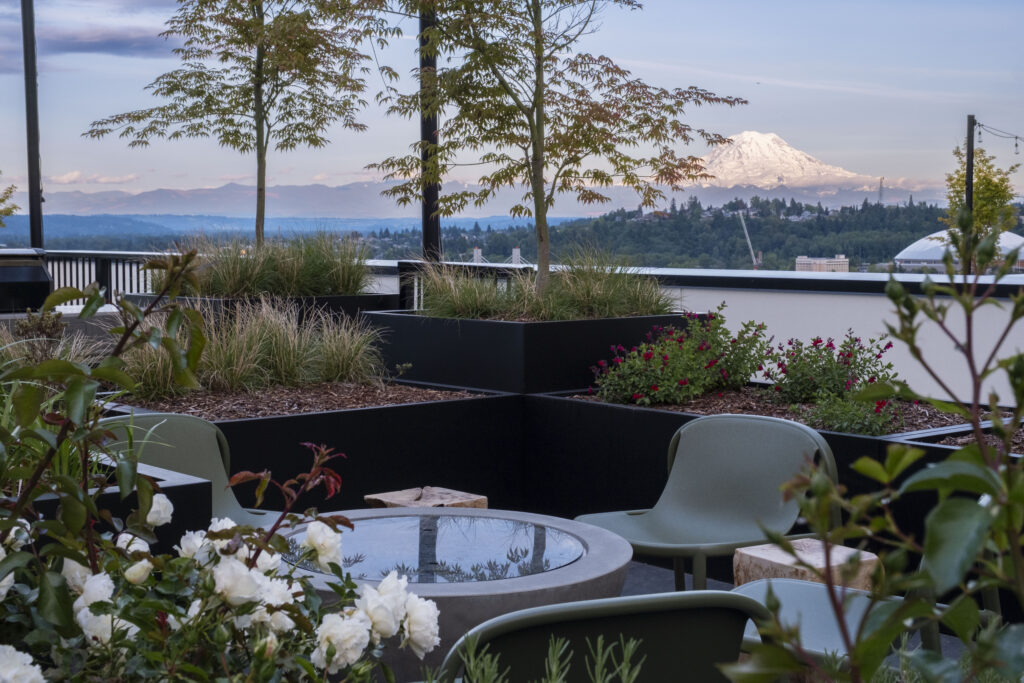 Rook - One Trent Seattle Real Estate Development